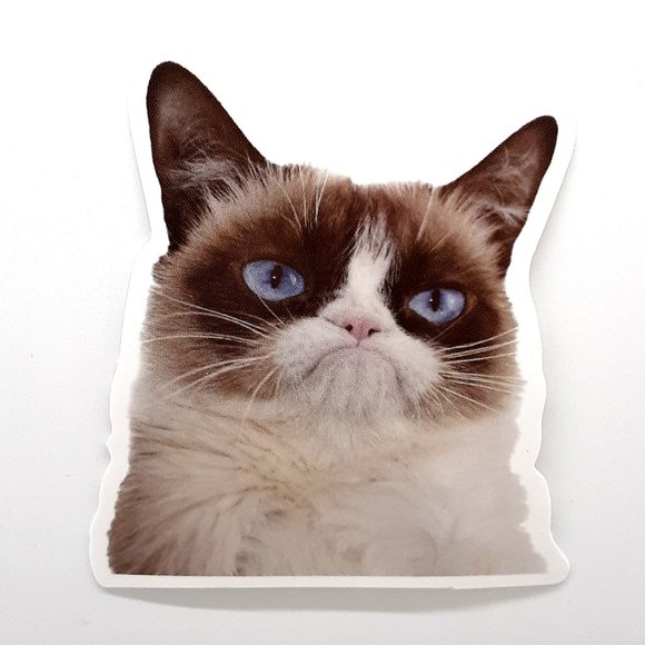Meme Stickers | Accessories | Meme Stickers For 15 | Poshmark